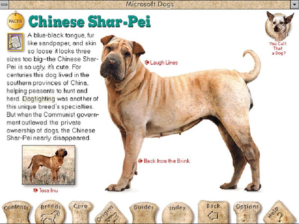 MICROSOFT DOGS +1Clk Windows 11 10 8 7 Vista XP Install – Allvideo ...